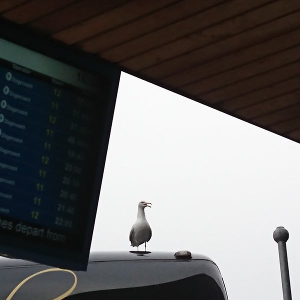 Union Square Bus Station - 8 tips from 757 visitors