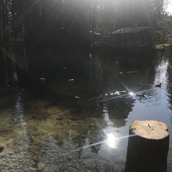 Photos at Murdo Frazer Pond - Capilano - 1 tip from 23 visitors