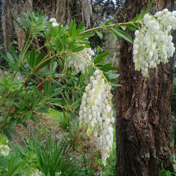 Araluen Botanic Garden - Other Great Outdoors in Roleystone