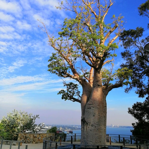 Barrack Street Jetty - Perth CBD - Barrack Square