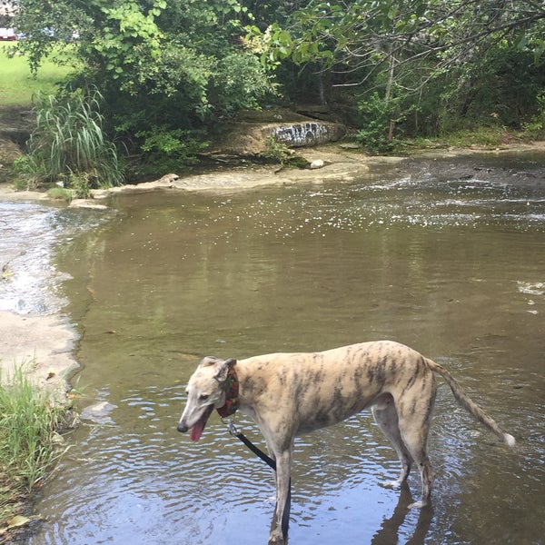 Ricky Guerrero Park - Bouldin Creek - Austin, TX
