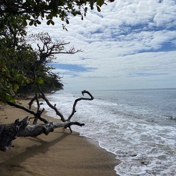 Steps Beach - PR-413