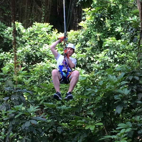 Aerial Trek - 4 tips from 31 visitors