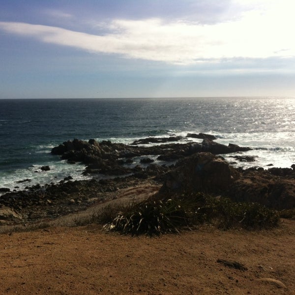 Playa Las Conchitas, Isla Negra