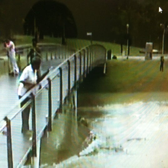Bus Stop 54539 (Bishan Park)