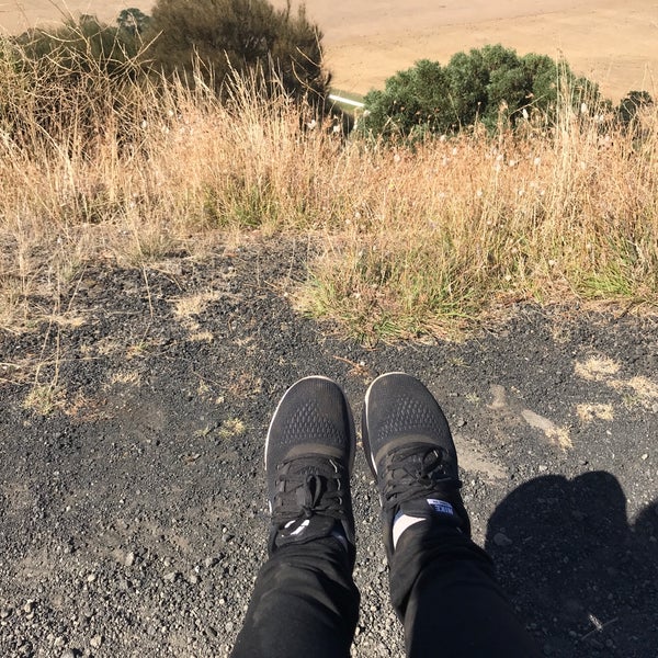 Mount Shank Volcano Crater - 1 tip from 29 visitors