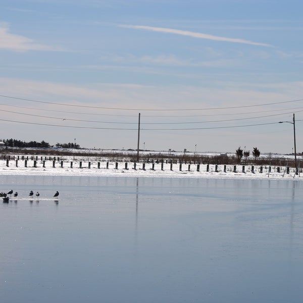 Section 5 Marina - Harbor or Marina in Mastic Beach