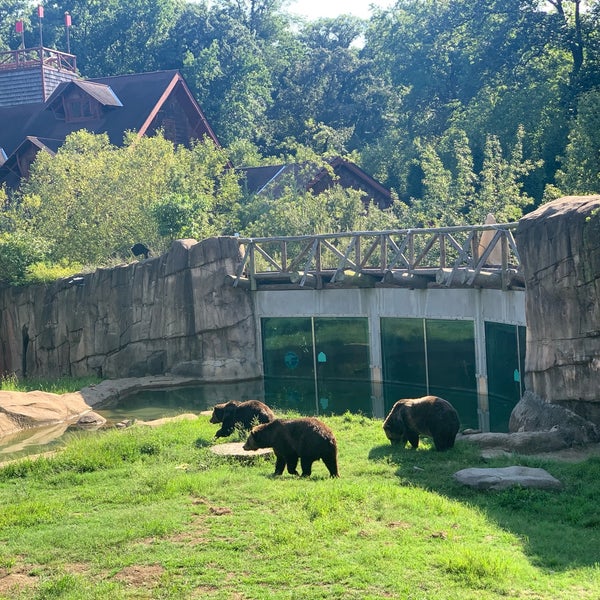 Memphis Zoo Teton Trek - Evergreen Historic District - 11 tips