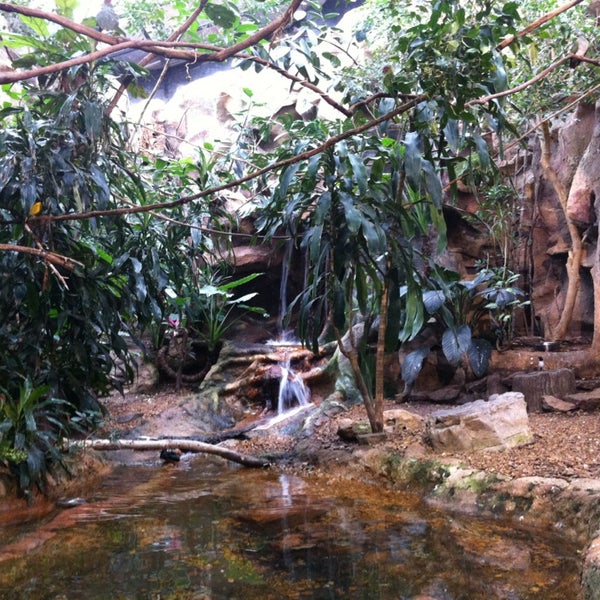 Memphis Zoo Tropical Bird House - Evergreen Historic District - 1 tip ...