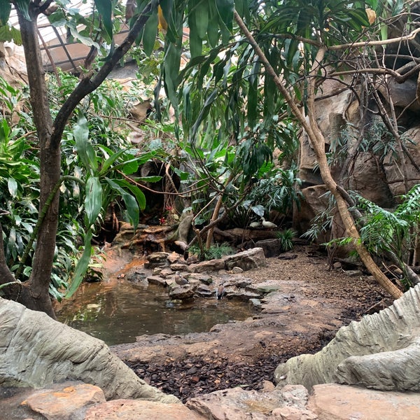 Memphis Zoo Tropical Bird House - Evergreen Historic District - 1 tip ...