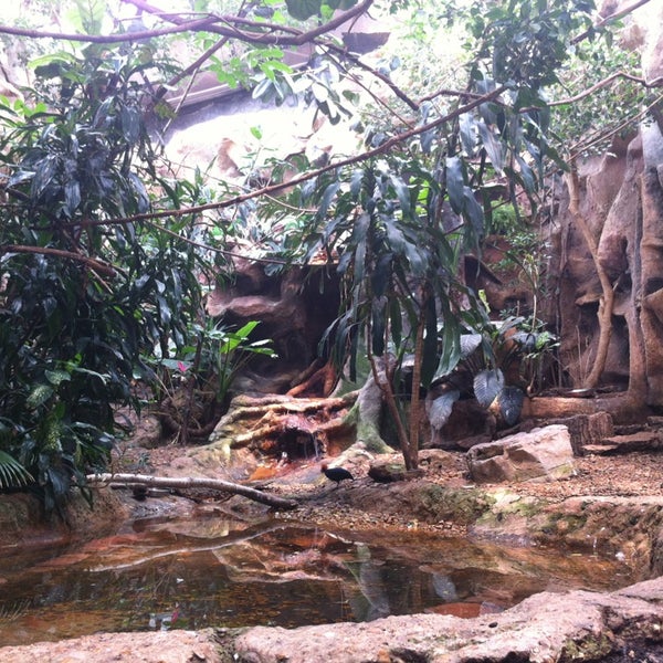 Memphis Zoo Tropical Bird House - Evergreen Historic District - 1 tip ...