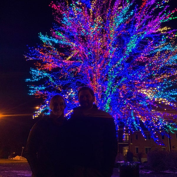 The Magic Tree - Other Great Outdoors in Village of Cherry Hill