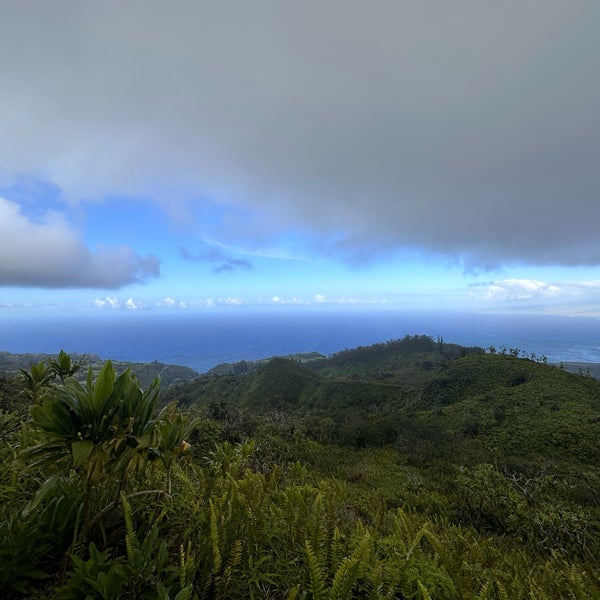 Waihe'e Ridge Trail - 11 tips from 791 visitors