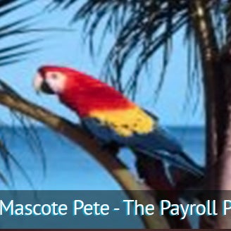 All Florida Payroll Services - Pembroke Pines, FL
