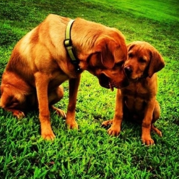 Holt Middle School - 65 visitors