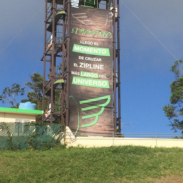 Toro Verde - 10 tips from 311 visitors