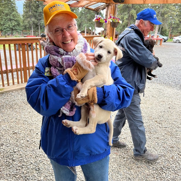 Husky homestead - McKinley Park, AK