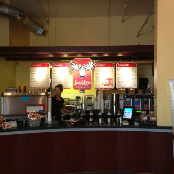 Photos at Java Moose Coffee House - Saint John, NB