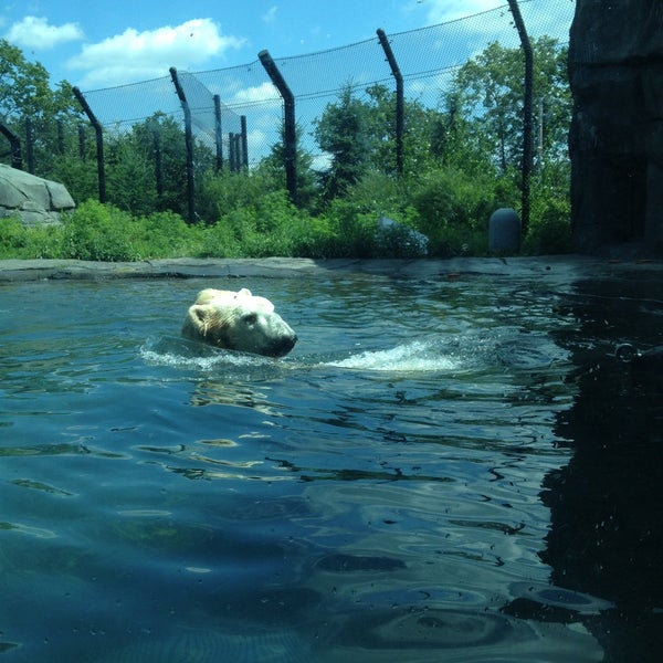 Como Park Zoo - Como Park - 1225 Estabrook Dr