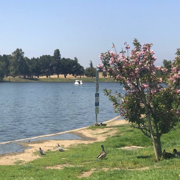 Lake Balboa In Encino