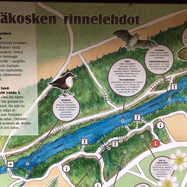 Pitkäkosken rinnelehdon luonnonsuojelualue - Haltiala - 7 tips