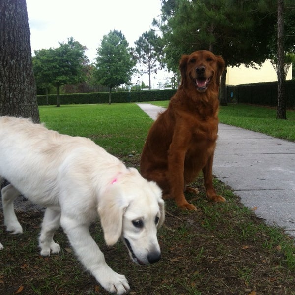 Avalon Dog Park - Orlando, FL