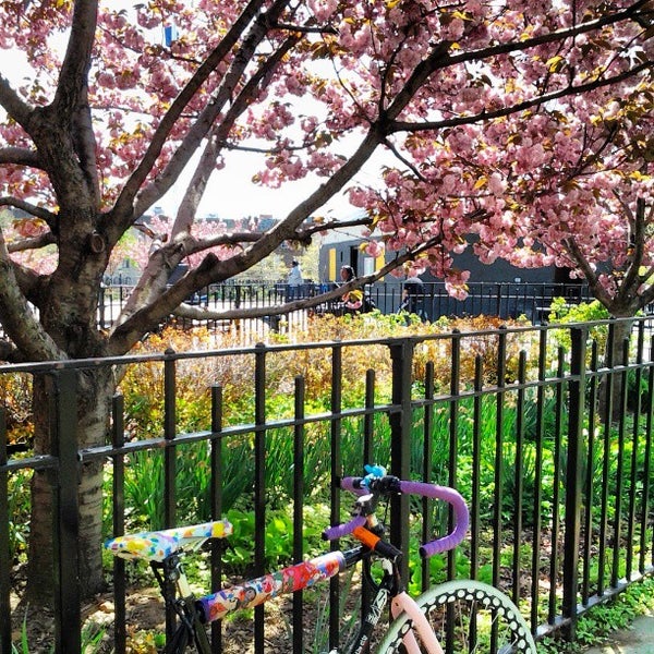 Maria Hernandez Park - Bushwick - Irving & Knickerbocker Ave