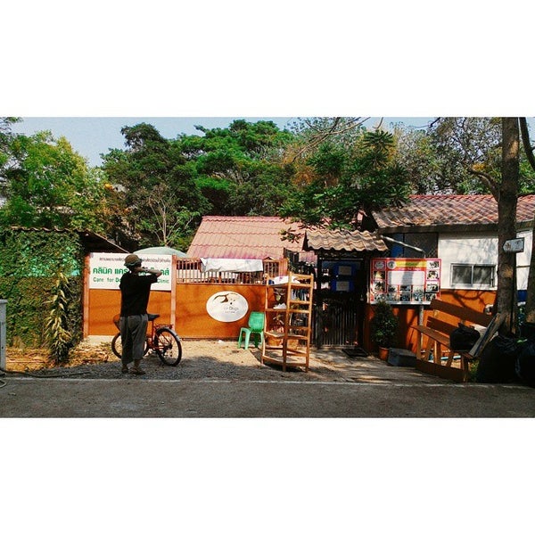 Care for Dogs Foundation - Animal Shelter