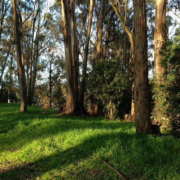 Photos at Albany Hill Park - Albany, CA