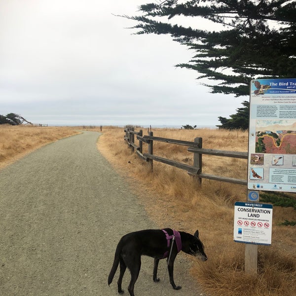 Wavecrest Open Space Preserve - 2 tips from 137 visitors