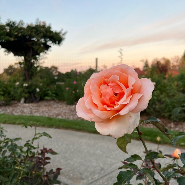 Heather Farm Park - Park