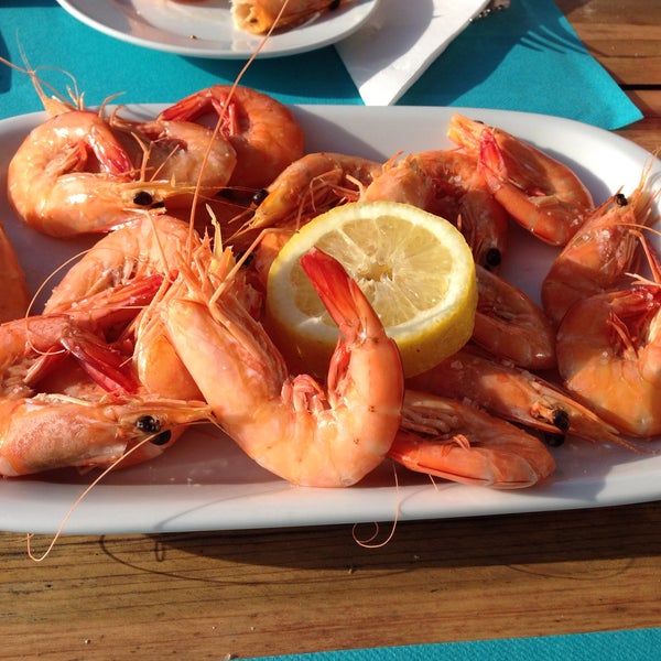 O Dinis - Praia do Carvalhal