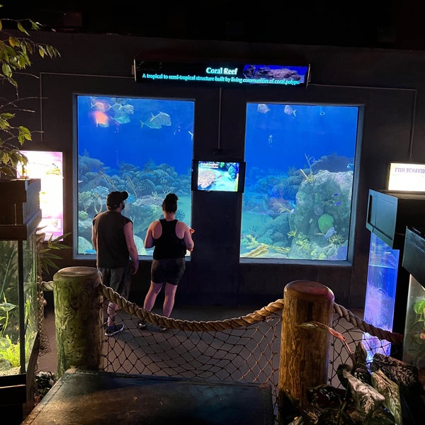 Jenkinsons Aquarium - Aquarium