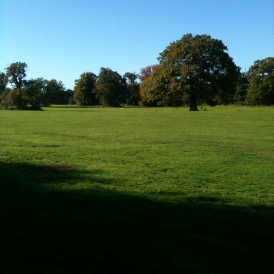 Hylands Park - 6 tips from 663 visitors