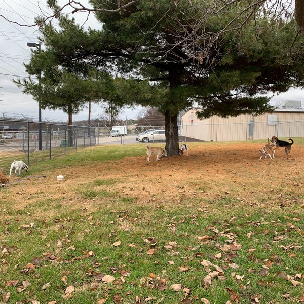Photos at Danville-Boyle County Humane Society - Danville, KY