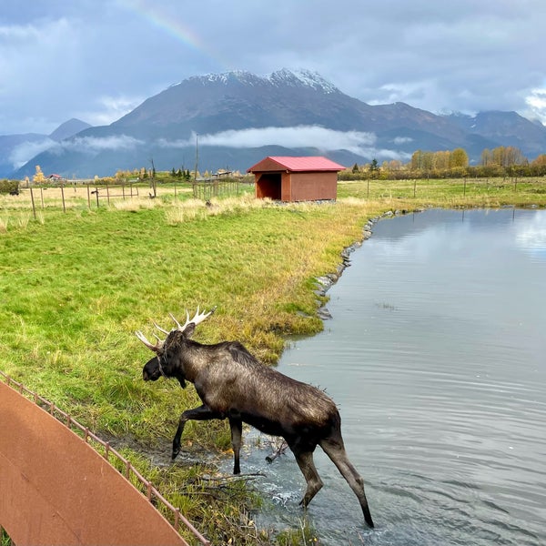 Alaska Wildlife Conservation Center - Zoo