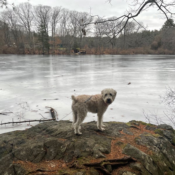 Burchard Park - Weston, MA