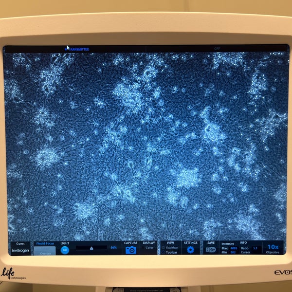 Johns Hopkins Miller Research Building - Eastern Baltimore - 1 tip