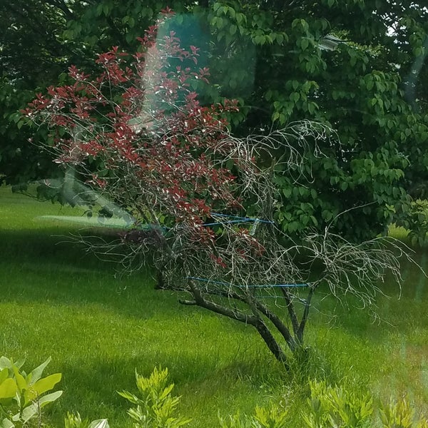 Village of Ravena - Town in Ravena