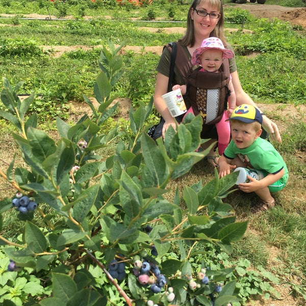 Dan's Farm And Country Market - 2030 Bear Hill Rd