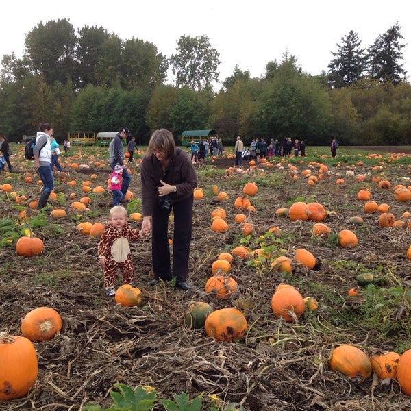 Galey Farms Corn Maze, Market & Railway - 2 tips