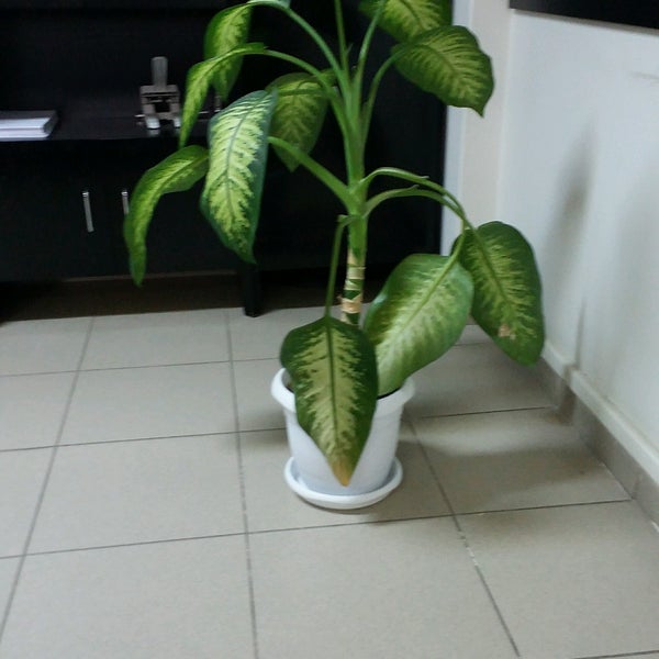 SGK ALTIEYLÜL SOSYAL GÜVENLİK MERKEZİ - Hacı İLBEY MAHALLESİ