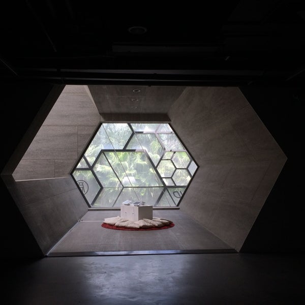 TDC ART GALLERY - Art Gallery