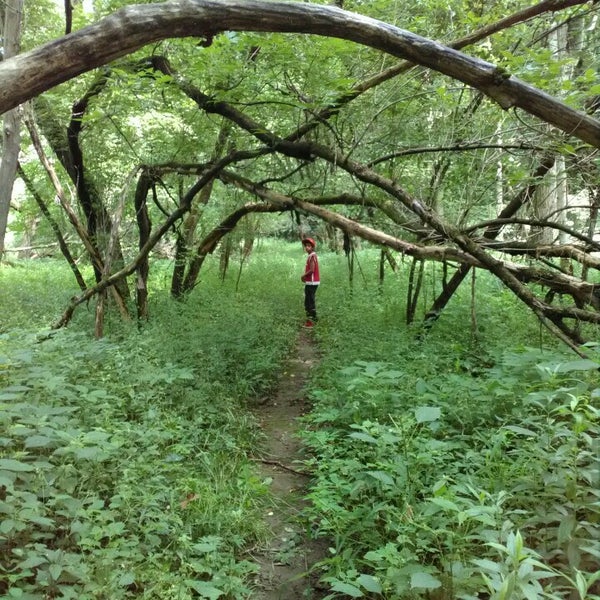 Ted Fritsch Park - Park