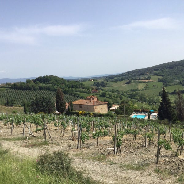 Ponsacco - 116 visitors