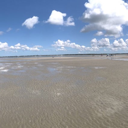 Photos at Sand Dollar Island - Beach in Beaufort