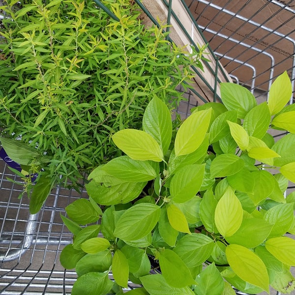 Menards - Crestwood, IL