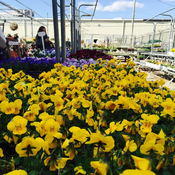 Photos at Strader's Garden Center - 214 visitors