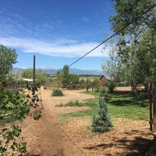Sunflower Farm - Longmont, CO