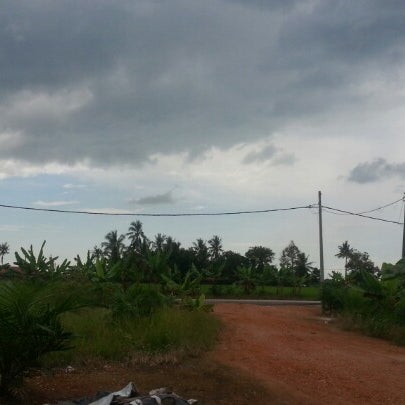 Kampung Parit 12 Timur Bagan Terap - Sungai Besar, Selangor